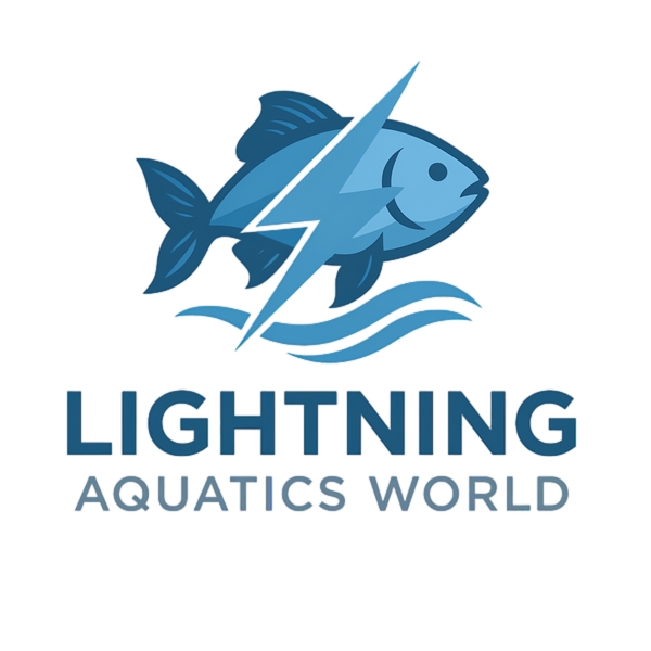 2-Pack Vampire Shrimp 1.5–2” – Live Freshwater Filter Shrimp – Rare Pe ...